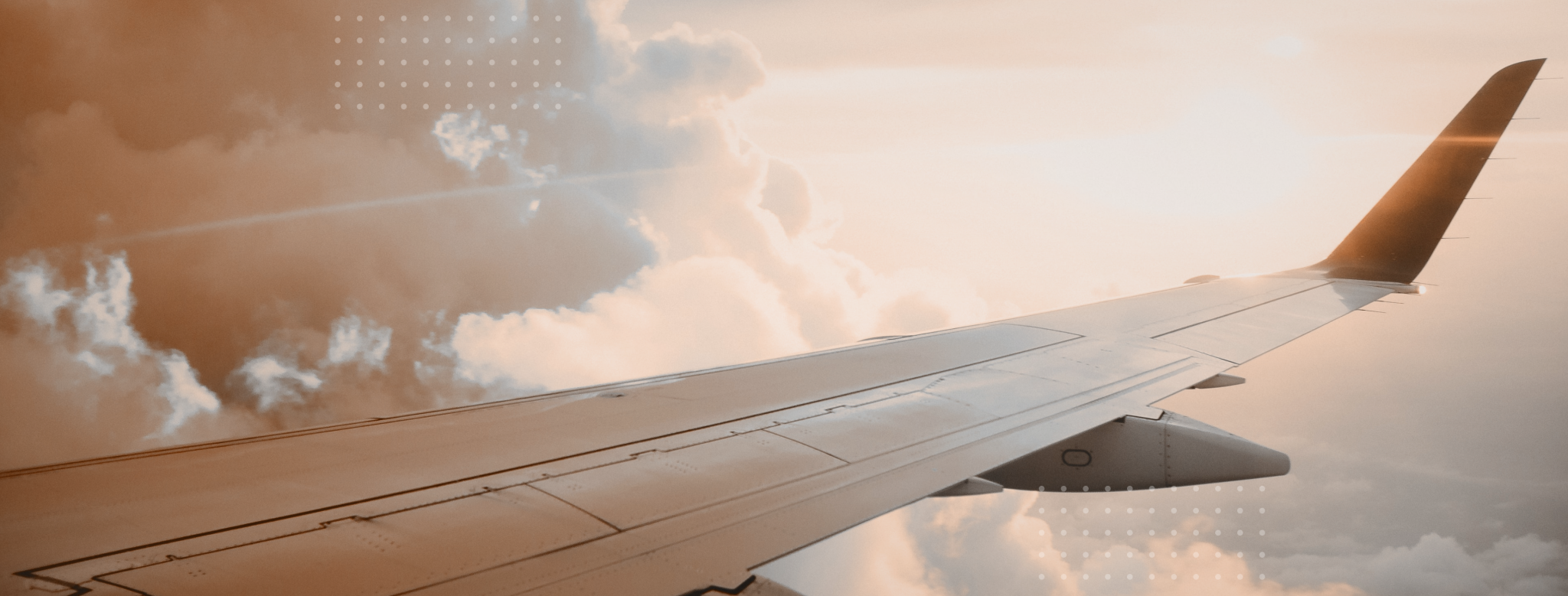 How Can Airlines Adapt to Green: Sustainability in The Airline Industry